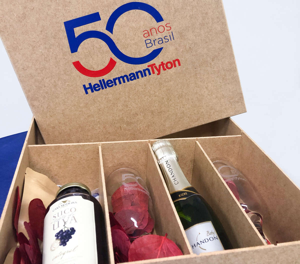Box_HellermannTyton_Brasil_1200x1055px - HellermannTyton
